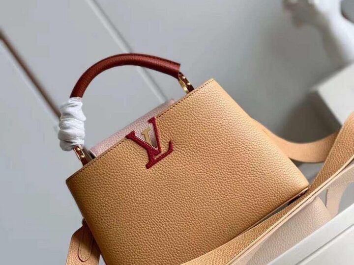 Louis Vuitton Capucines Skin Color - Luxury Bags